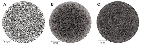 [process Development] Structure And Performance Of Chromatography Columns Inexoplat 인엑소플랫