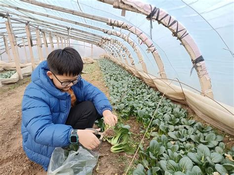 “双减”后首个寒假，城阳学子开启假期幸福模式①澎湃号·政务澎湃新闻 The Paper