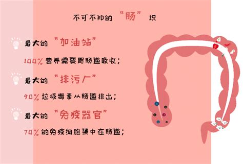图文详情