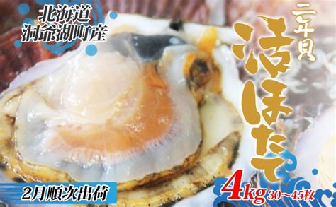 ホタテ特集｜マイナビふるさと納税