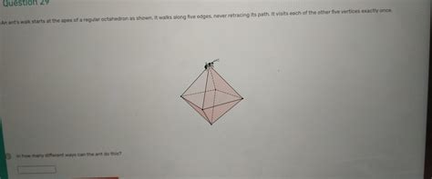 Solved Question Z9 An Ant S Walk Starts At The Apex Of A Regular