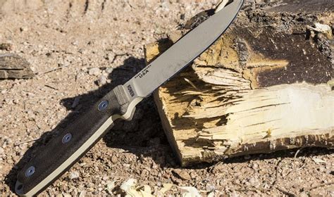 Esee 4 vs. Esee 5 Review and Comparison