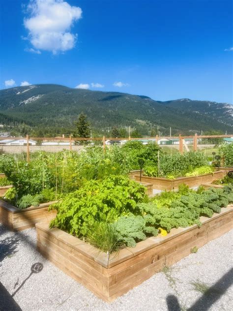 Crowsnest Pass Health Crowsnest Pass Health Foundation