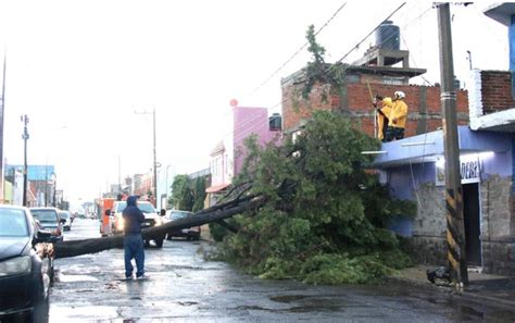 Lluvia intensa genera caída de árboles y distintas afectaciones en