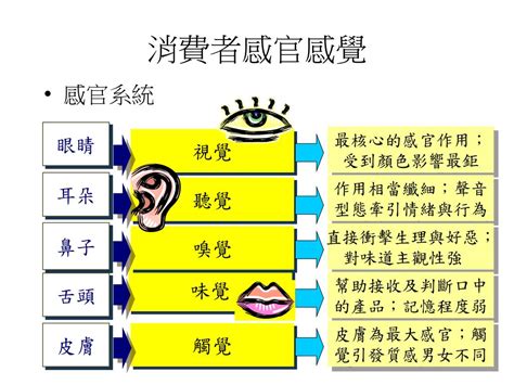 Ppt 消費者行為模式 14 Powerpoint Presentation Free Download Id5584088