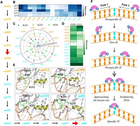 Determinations Of The Predominant Microstate Transition Path During The Download Scientific
