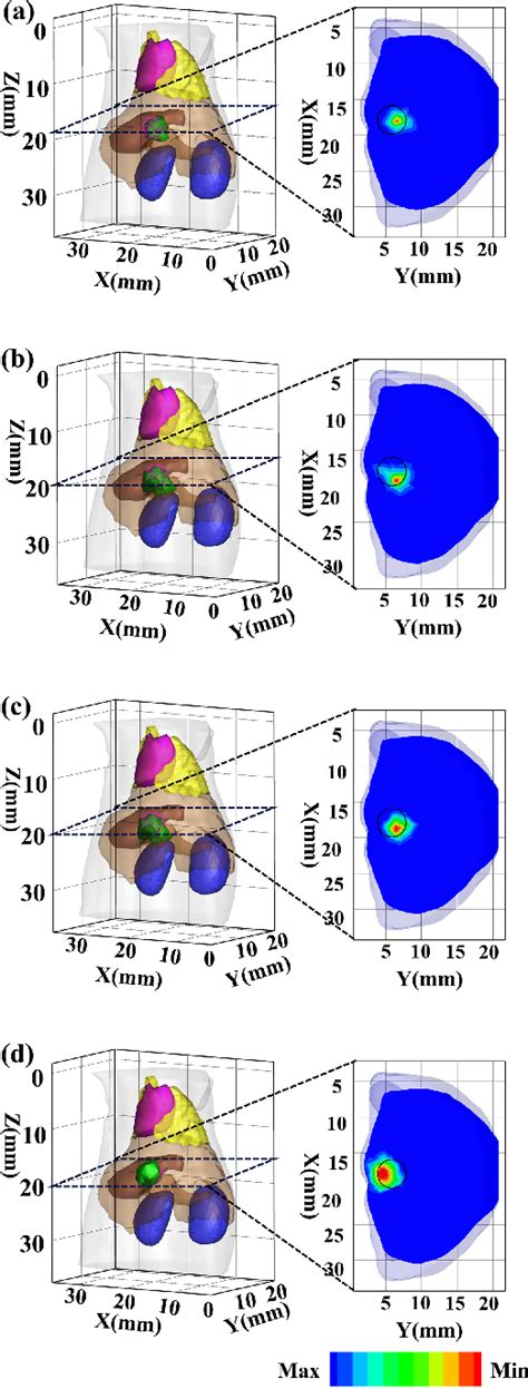 Pdf L1l2 Minimization Via A Proximal Operator For Fluorescence