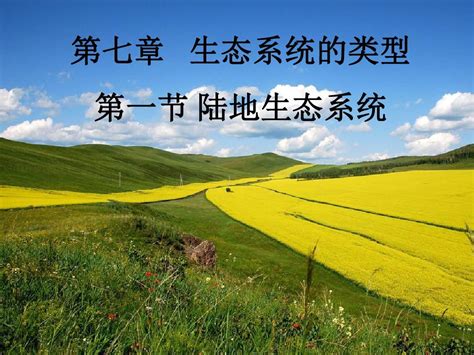 第7章 第一节陆地生态系统word文档在线阅读与下载免费文档