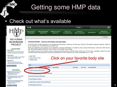 Ppt Metaomic Analysis With Metaphlan Humann And Lefse Powerpoint