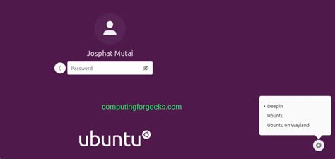 Install Deepin Desktop Environment On Ubuntu ComputingForGeeks