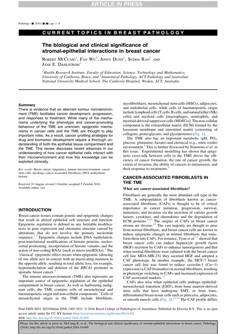 Pdf The Biological And Clinical Significance Of Stromal Epithelial