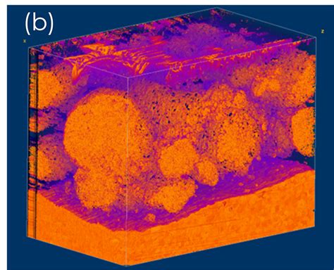 serial block face sem for materials science
