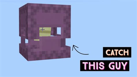 The ULTIMATE Shulker Capture Guide For Minecraft Bedrock YouTube