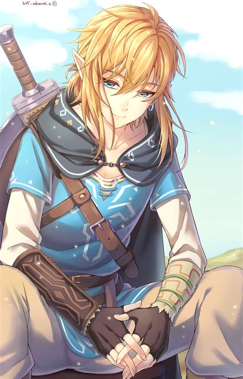 Link Breath Of The Wild Zelda No Densetsu Breath Of The Wild