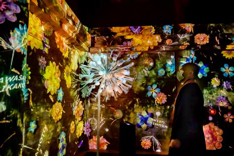 比叡山延暦寺坂本が幻想的な世界に包まれるNAKED GARDEN ONE KYOTO 比叡山坂本開催 しがトコ