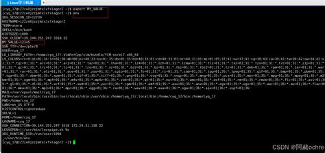 Linux环境变量andand进程地址空间 Csdn博客