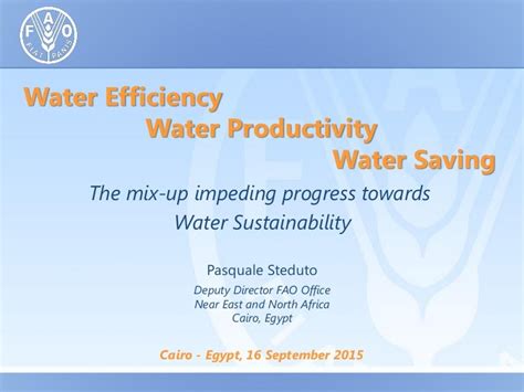 technical seminar “water efficiency water productivity water saving…