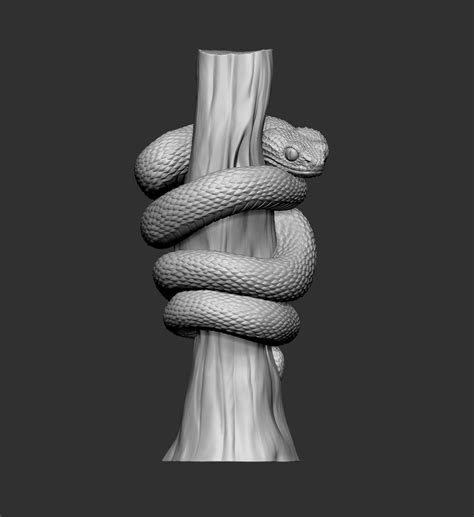 Atheris Squamigera 3d Model 3d Printable Cgtrader
