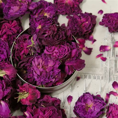 Kyobashi ชากุหลาบ อบแห้ง กุหลาบพันธุ์มอญแดงประเสริฐ Kyobashi Tea Thaipick