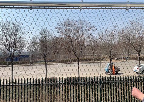 Robust Durable Aviary Wire Netting Cable Fence Enclosure