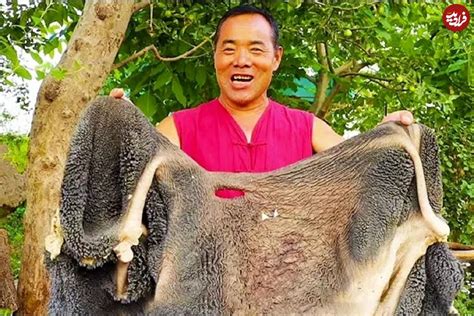 ویدئو غذای روستایی؛ طبخ سیرابی غول پیکر گاو به روش چینی