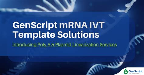 Mrna Mrnavaccine Genetherapy Celltherapy Cancerresearch Genscript