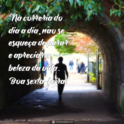 Reflexão do Dia Inspirações para uma Sexta Feira Transformadora