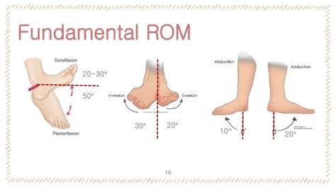 5 Quick Physio Tests For Sprained Ankle Recovery