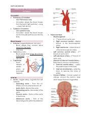 NOTES LAB EXERCISE 38 THE CIRCULATORY PATHWAY Pdf HAPP LAB EXERCISE