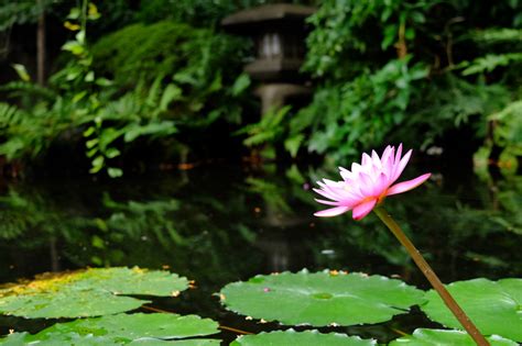 By Katsu Id Photohito