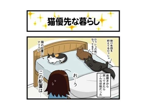 ＜画像2 199＞19匹の猫と暮らす猫まみれの幸せな日常漫画【もちこmogutchecho】｜ウォーカープラス