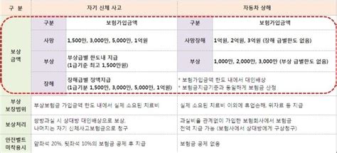 자동차보험 자상과 자손차이 보장비교 네이버 블로그
