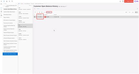 Customer Ledger Open Items Report Unable To View The Gl Account In