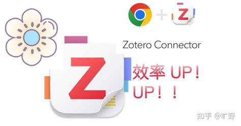 一次搞定zotero中英文献管理！这两个神级插件让你的文献管理效率暴增 知乎