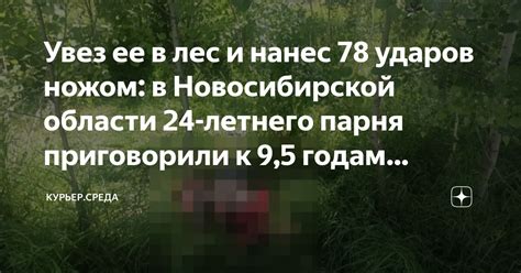 Увез ее в лес и нанес 78 ударов ножом в Новосибирской области 24