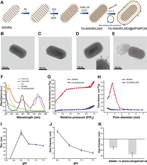 An Intelligent Responsive Macrophage Cell Membrane Camouflaged Mesoporous Silicon Nanorod Drug
