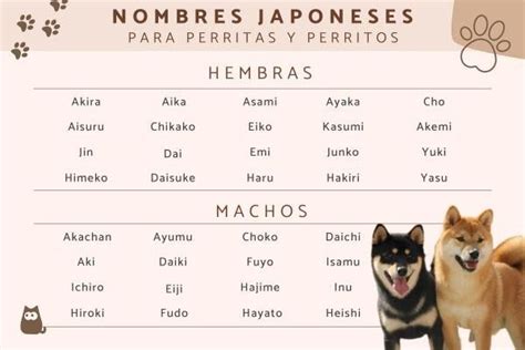 Pin De Ma Del Mar Villarreal Ceballos En Perros Nombres Japoneses Para Perros Perro En