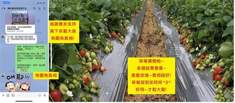 【肥料王】勇根強勢王~完全型天然胺基酸~改善土壤~開根吸收~催大顧欉~收成提升~打破連作障礙~抗逆境能力 4公升瓶 露天市集 全台最