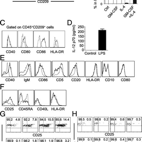 Gm Csf And Il 4 Stimulate Production Of Human Cd209 Dcs And