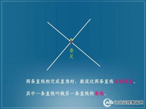 一条直线有多少垂线 一条直线有多少垂线