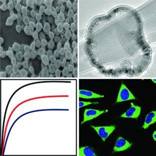 Surface Functionalization Of Nanoparticles To Control Cell Interactions