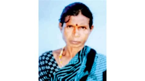 Tiger Mauls Woman To Death In Hd Kote Star Of Mysore