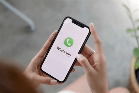 Top 20 WhatsApp Bulk Sending Platforms For Engaging Human Like