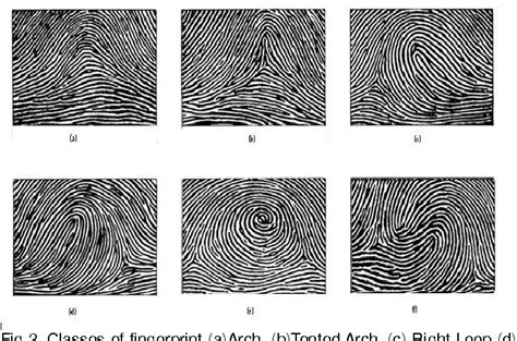 Figure 2 From A Novel Method For Fingerprint Core Point Detection