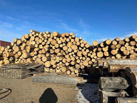 ЗУСЛАНГИЙН ГАЗАР БАЙШИН АВНА ЗАРНА ⭐️Бүх төрлийн мод нийлүүлнэ