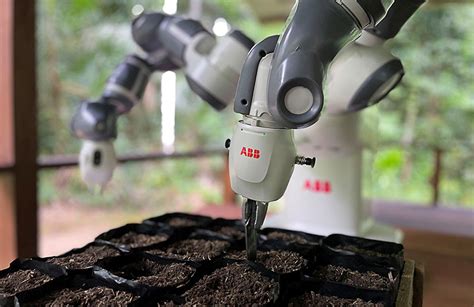 ABB Cobots Helping Amazon Reforestation