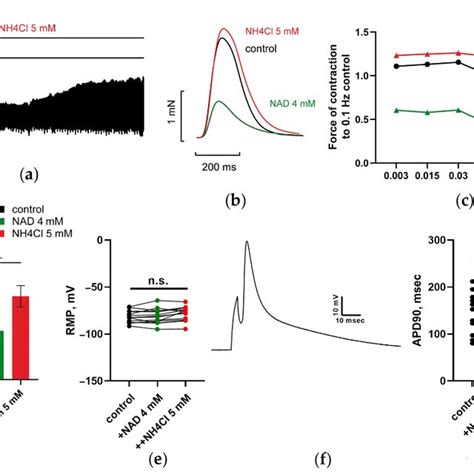 KB R7943 The Inhibitor Of Reverse Mode NCX Exchanger Prevents