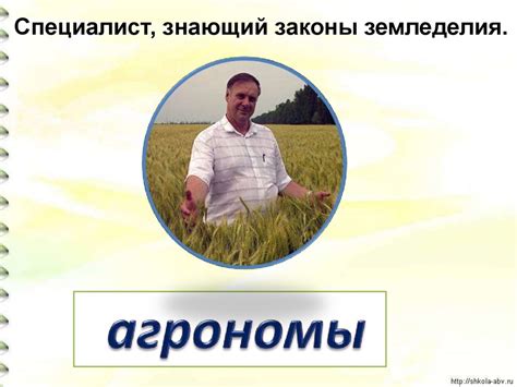 Правописание падежных окончаний имён существительных во множественном