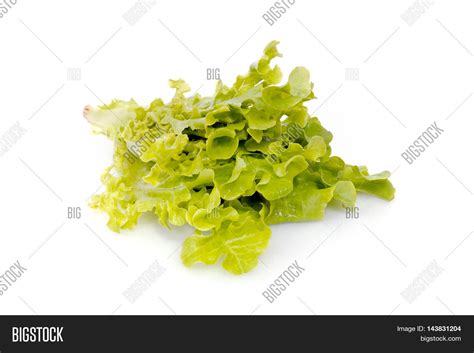 Salad Vegetable Leaf Image Photo Free Trial Bigstock