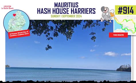 Hash Trash 914 Hash Mauritius